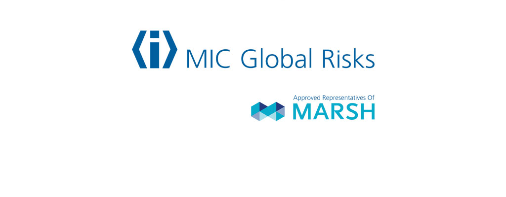 About Us - MIC GLOBAL RISKS